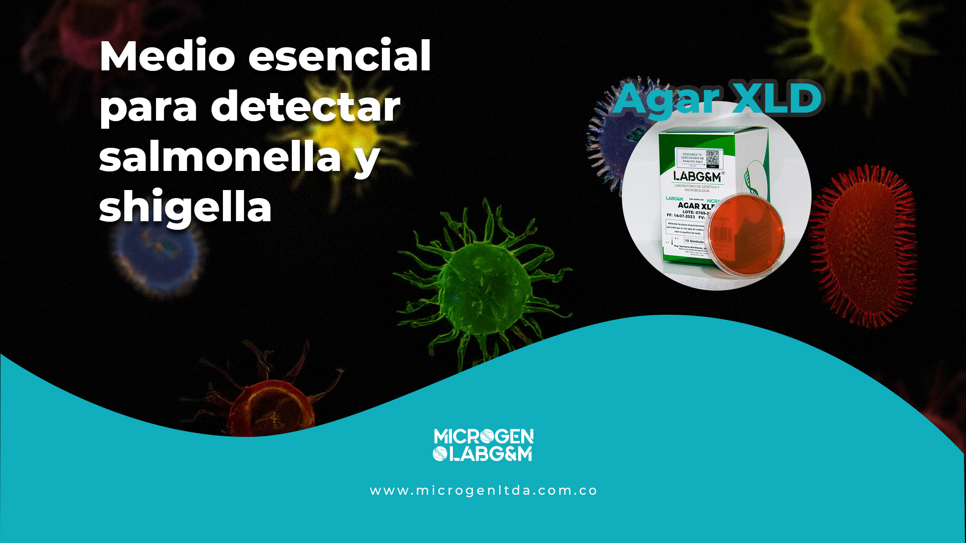 Agar xld: detección efectiva de salmonella y shigella